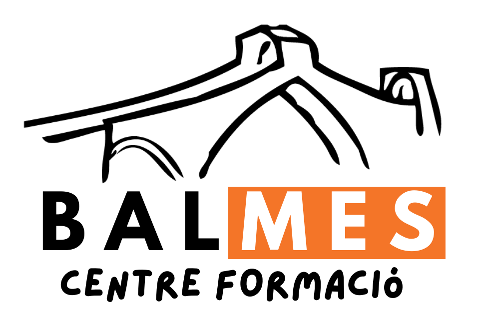 IE Balmes - E-LEARNING